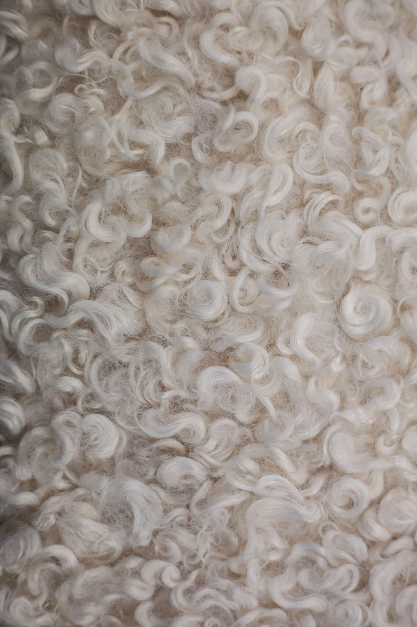 *New Fabric* Curly Whirly - Foam – Old Hickory Tannery